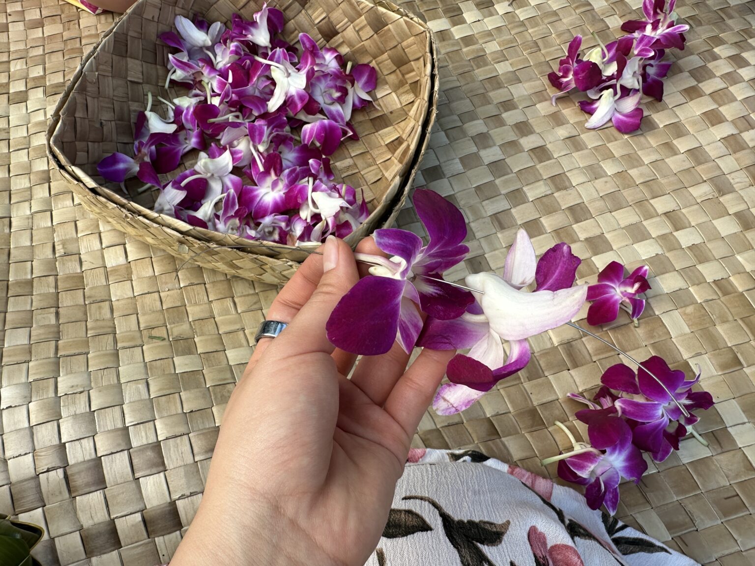 Aloha Kai Luau at Sea Life Park Review - Our First Time! (2026)