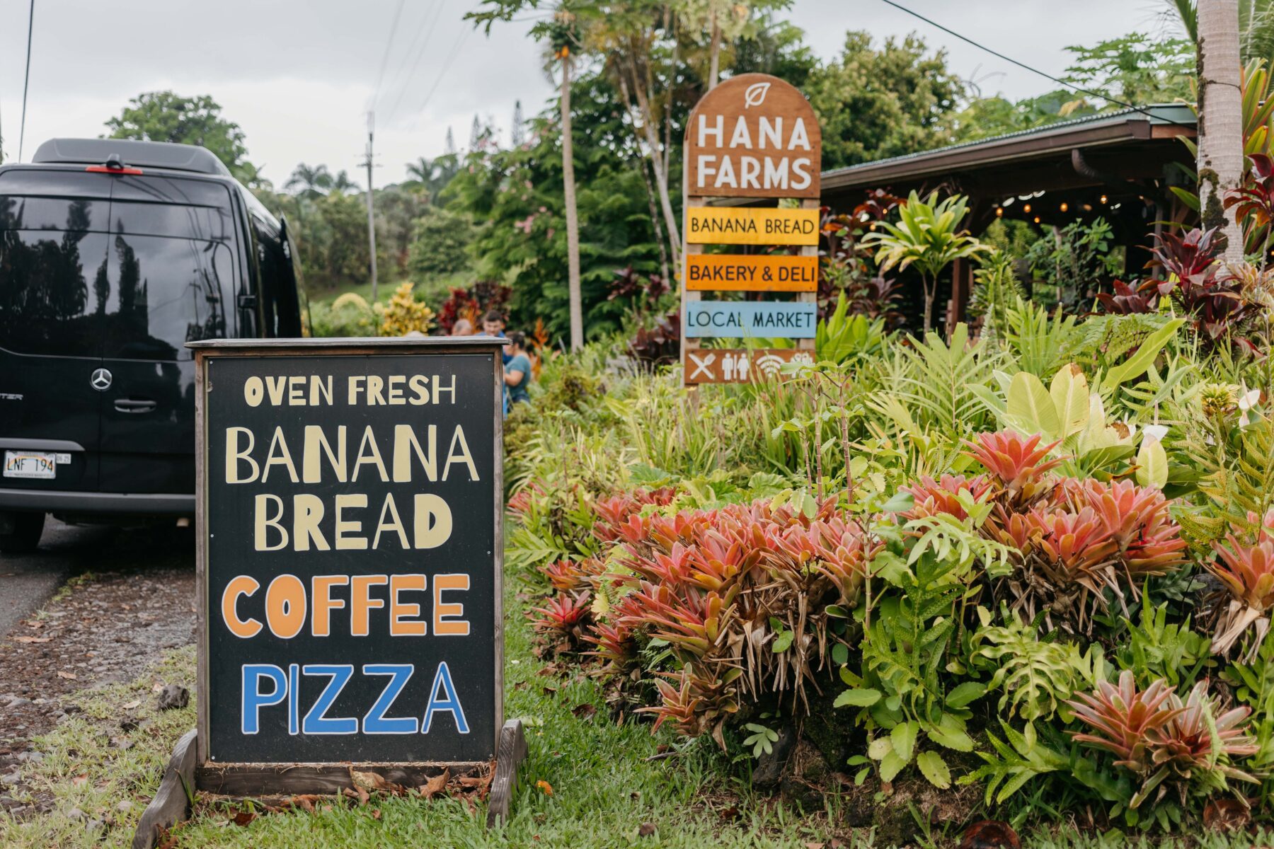 The Ultimate Road to Hana Itinerary (2025)